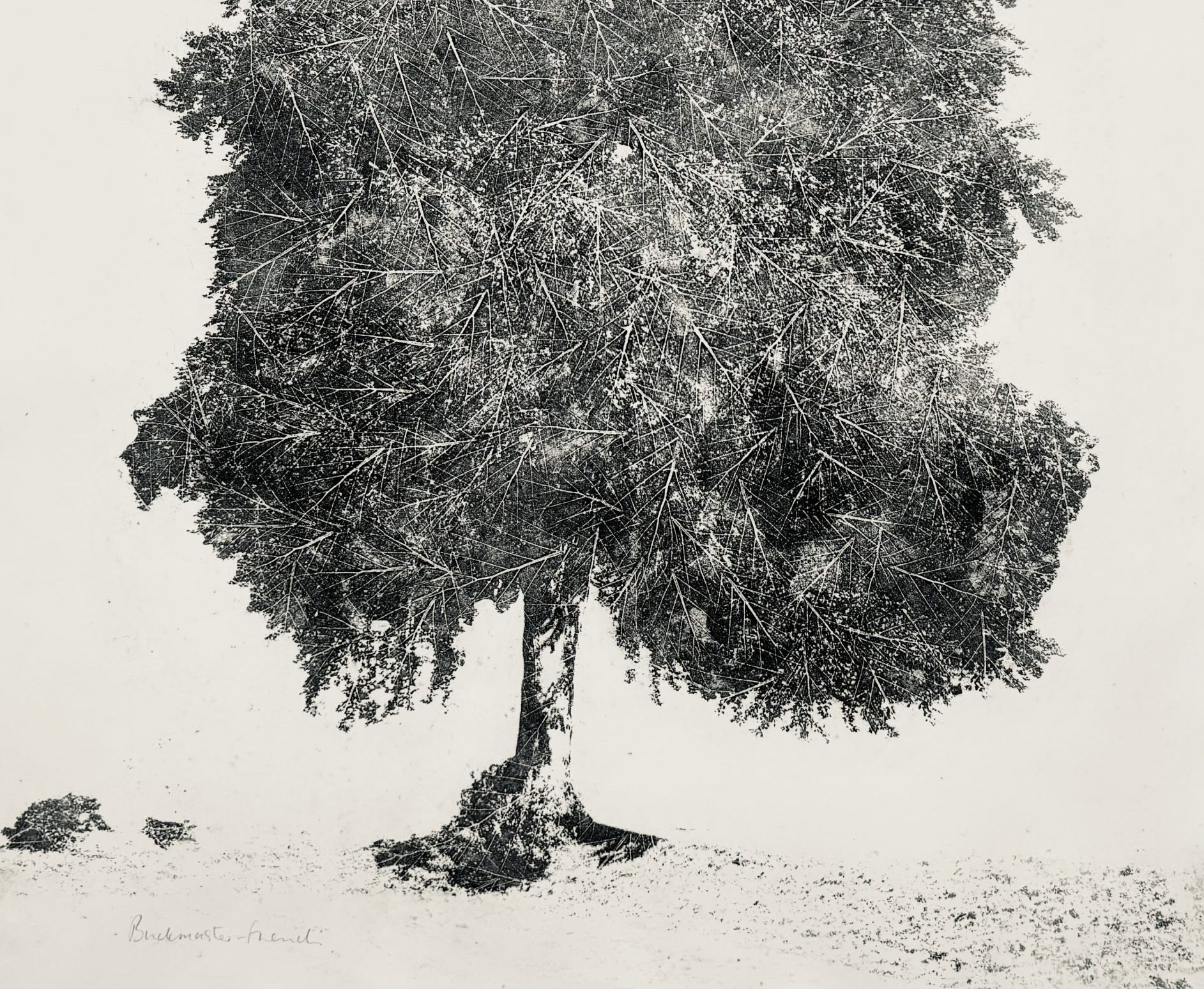 Portsmouth Museum & Art Gallery - Emma Buckmaster